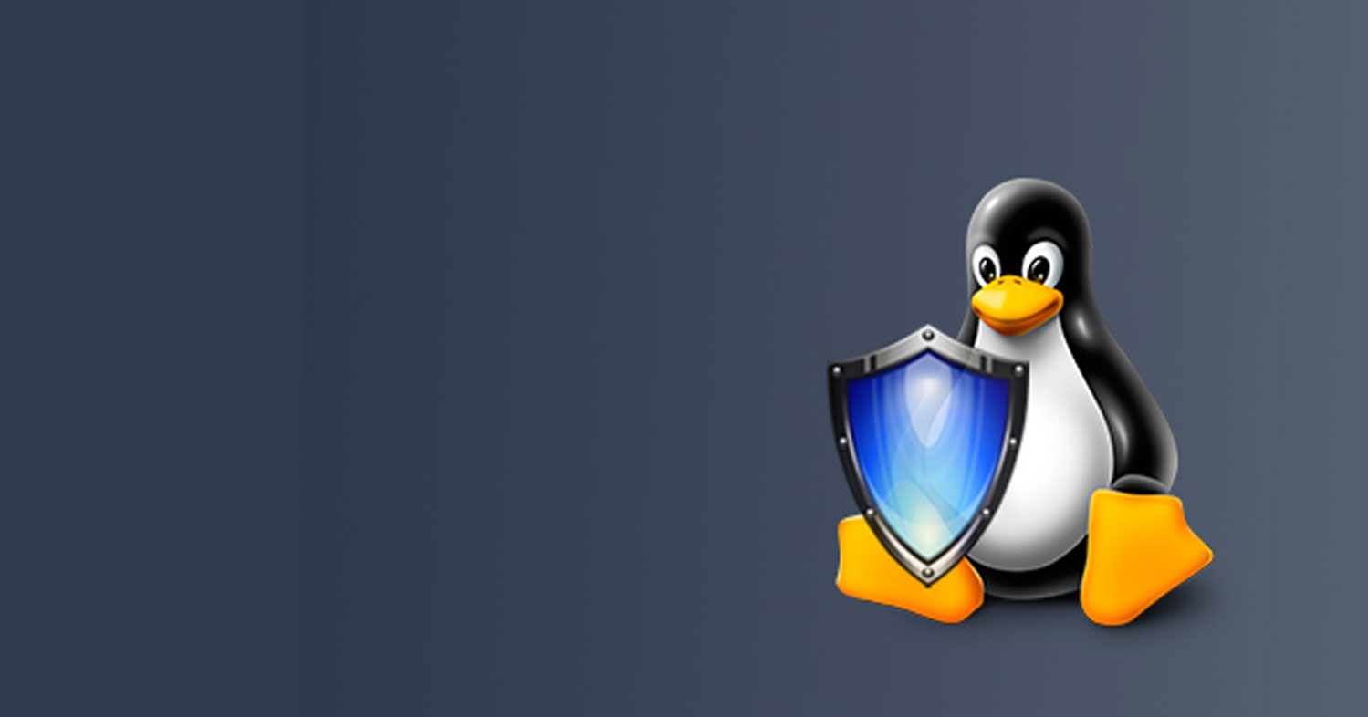 LAMP ADMINISTRATION TRAINING - Linux Training Noida | Advanced Linux Training Noida | Corporate ...